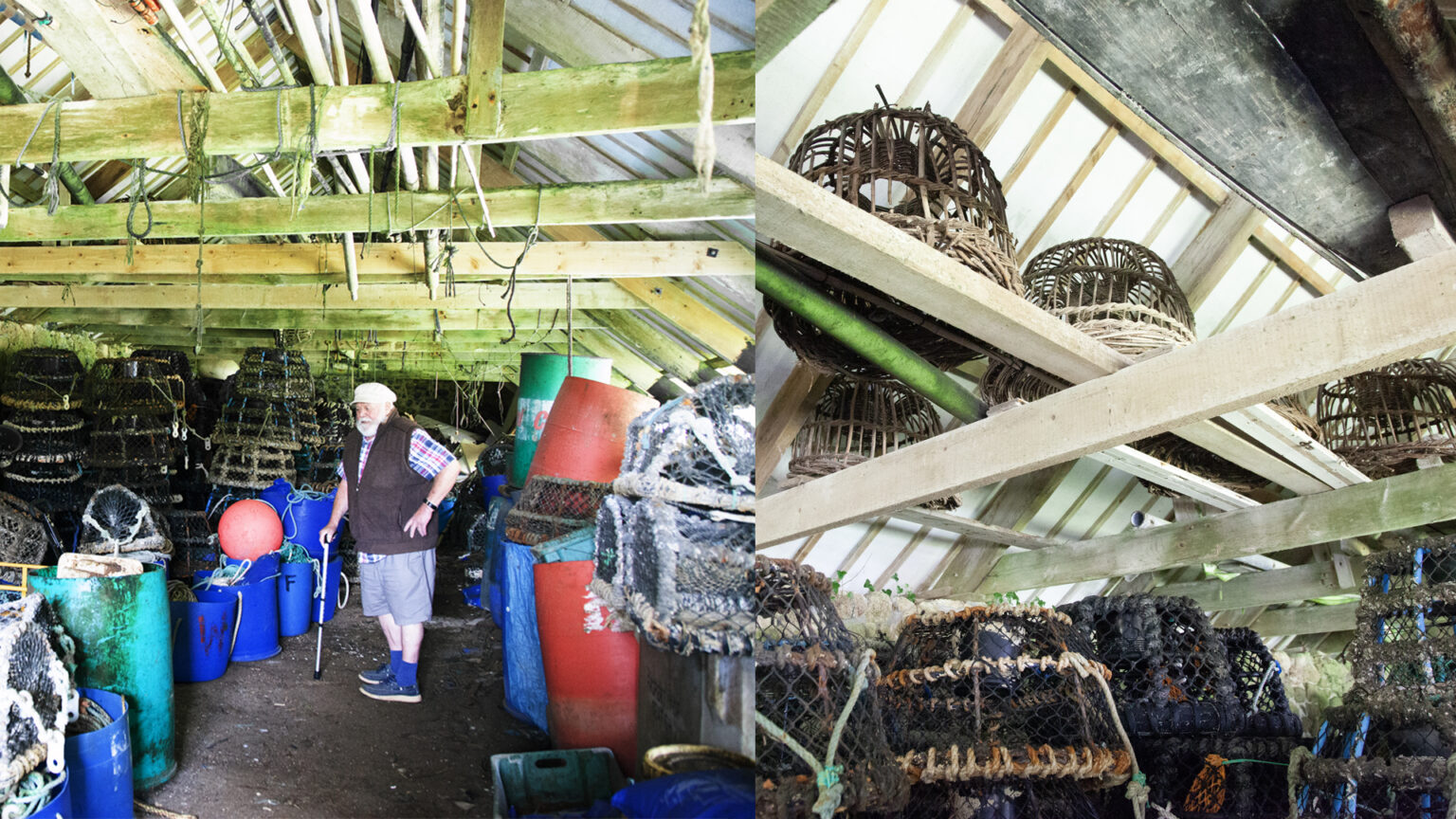 Every Withy Pot tells a story - Storylines